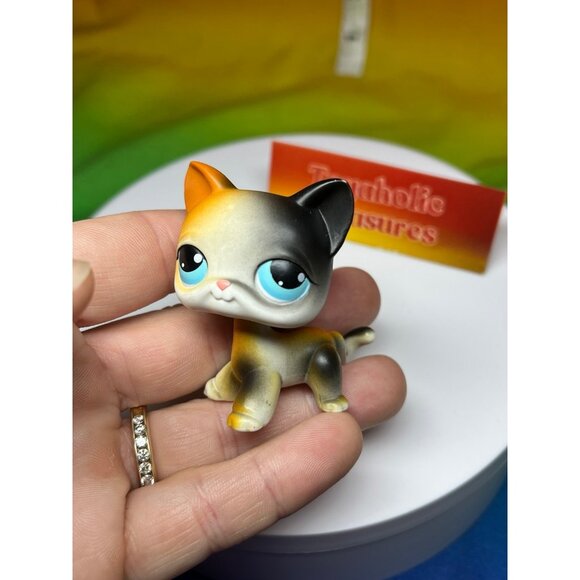 Littlest Pet Shop | Toys | Lps Calico Cat Littlest Pet Shop | Poshmark
